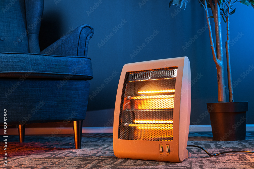 The Pros and Cons of Electric Space Heaters for Sustainable Living ...